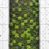 Green Retrofitting of Commercial Property - NovaLoca Blog